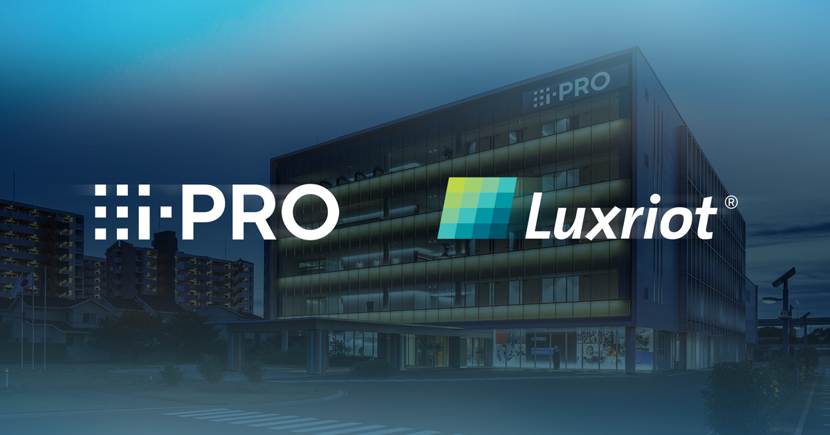 The Dynamic Duo :: In Focus :: Luxriot